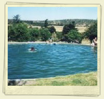 Suikerbos - Nature Resort and Hiking Trails...