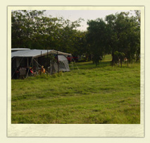 Suikerbos - Nature Resort and Hiking Trails...