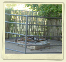 Suikerbos - Nature Resort and Hiking Trails...