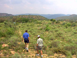 Suikerbos - Nature Resort and Hiking Trails...