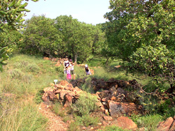 Suikerbos - Nature Resort and Hiking Trails...