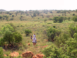 Suikerbos - Nature Resort and Hiking Trails...