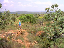 Suikerbos - Nature Resort and Hiking Trails...