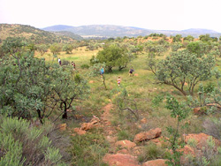 Suikerbos - Nature Resort and Hiking Trails...